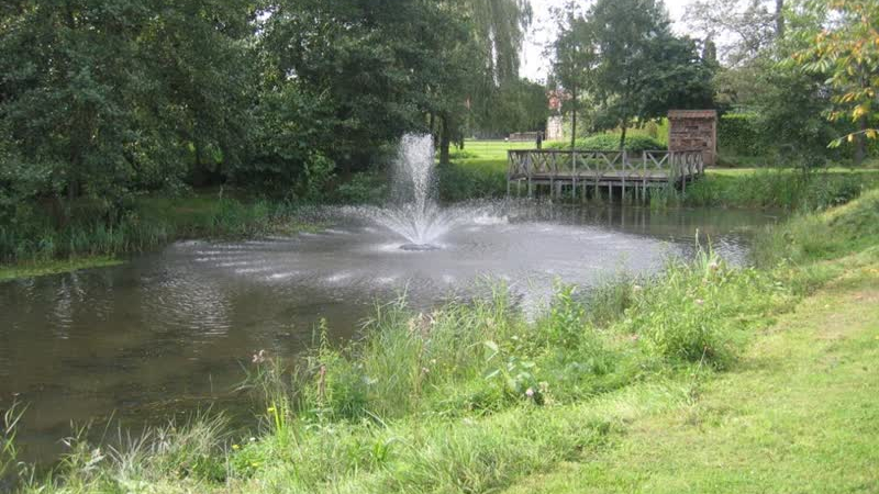 Fontein in vijver Vlakbroek