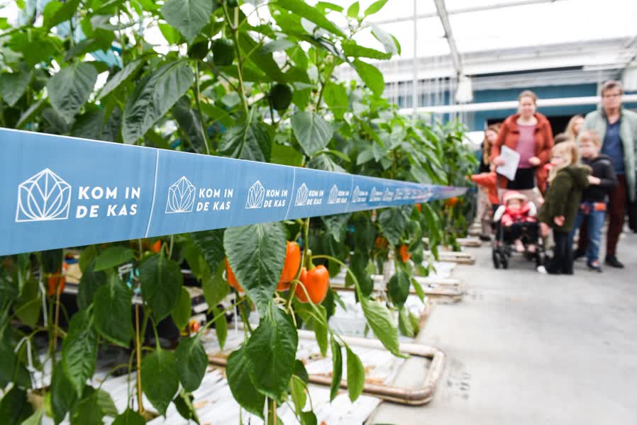 Deze deelnemers zetten de kassen open tijdens Kom in de Kas 2025